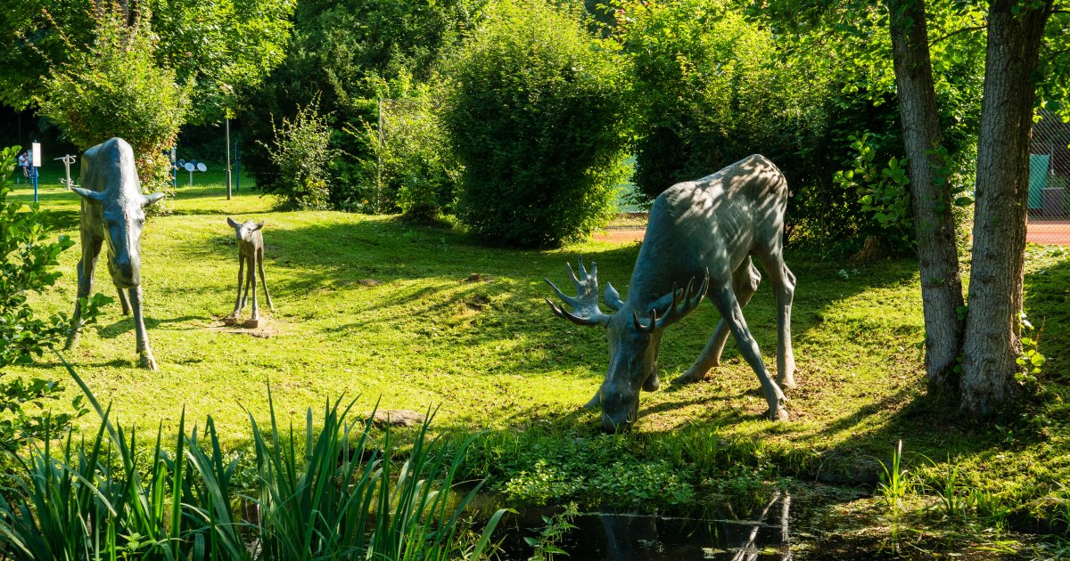 Elchpark | Gemeinde Wald-Michelbach